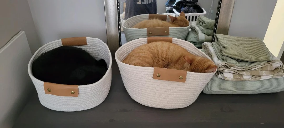 Dual traps. Very effective. | Scrolller