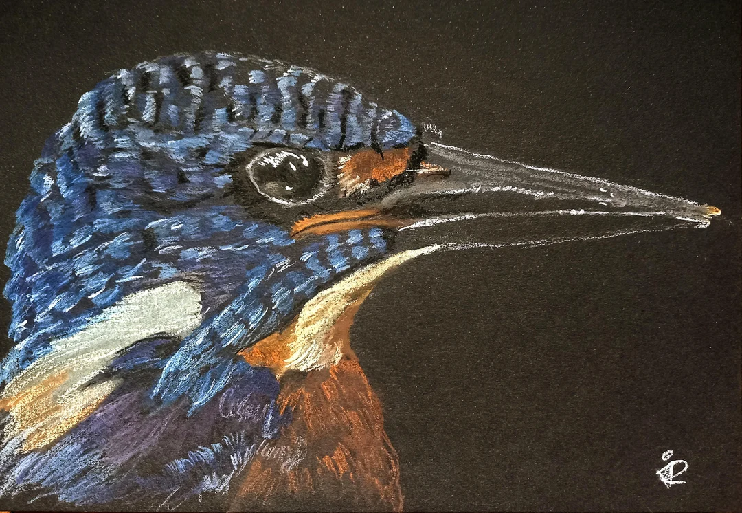 Kingfisher - Me, chalk pastel, 2023 | Scrolller