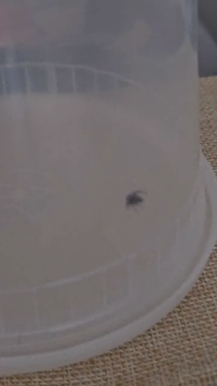 Being Brave: Round 2. Who is this? NY area | Scrolller