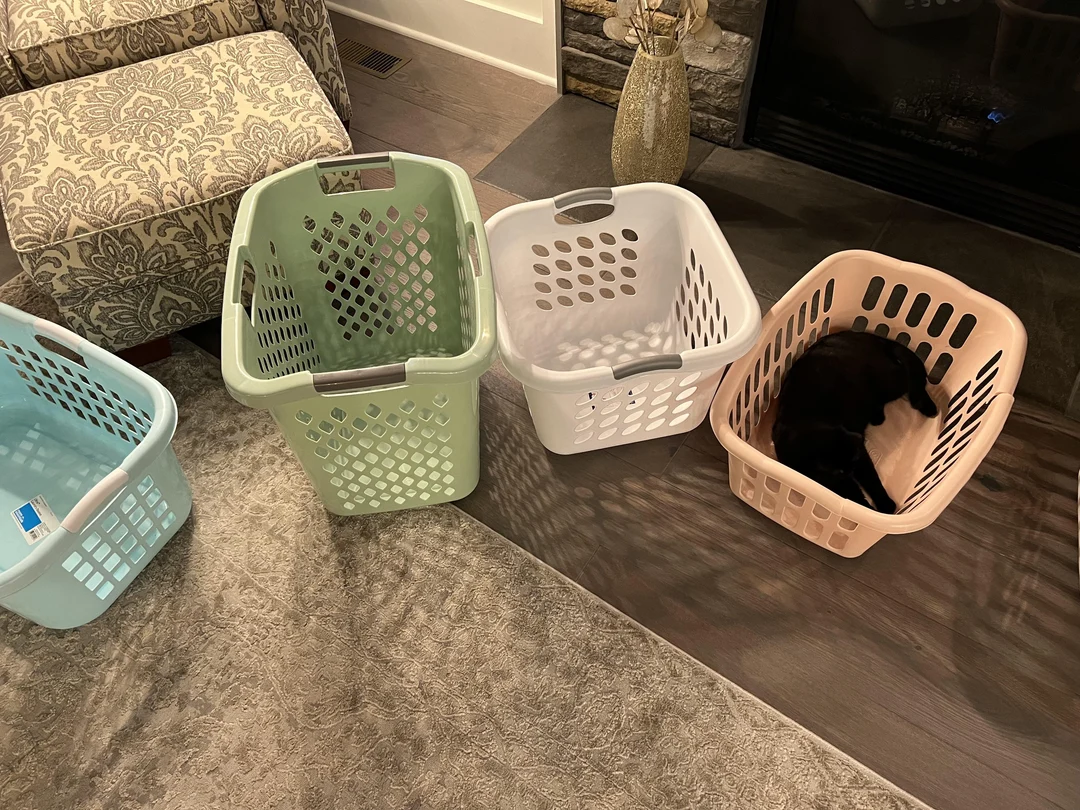 One of these is not the same | Scrolller