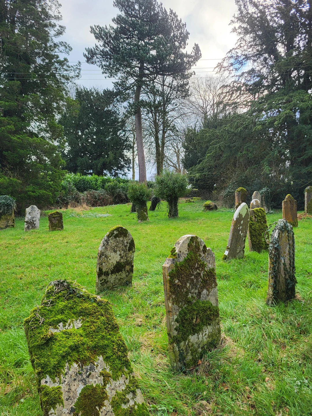 200 year old memorials covered in lichen and moss | Scrolller