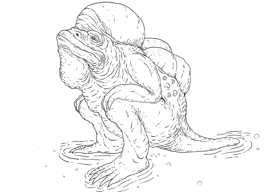 Elderly Toad | Scrolller