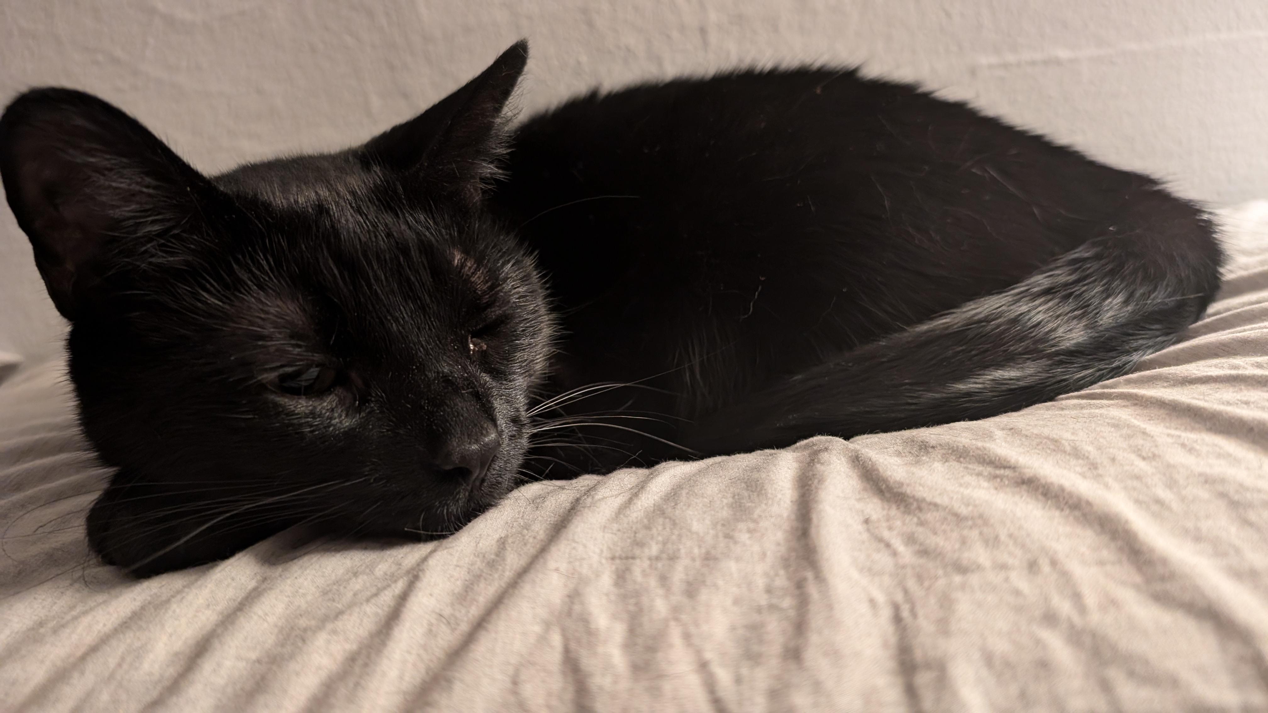 Sleepy void | Scrolller