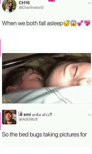 bed bugs like to capture sweet moments | Scrolller