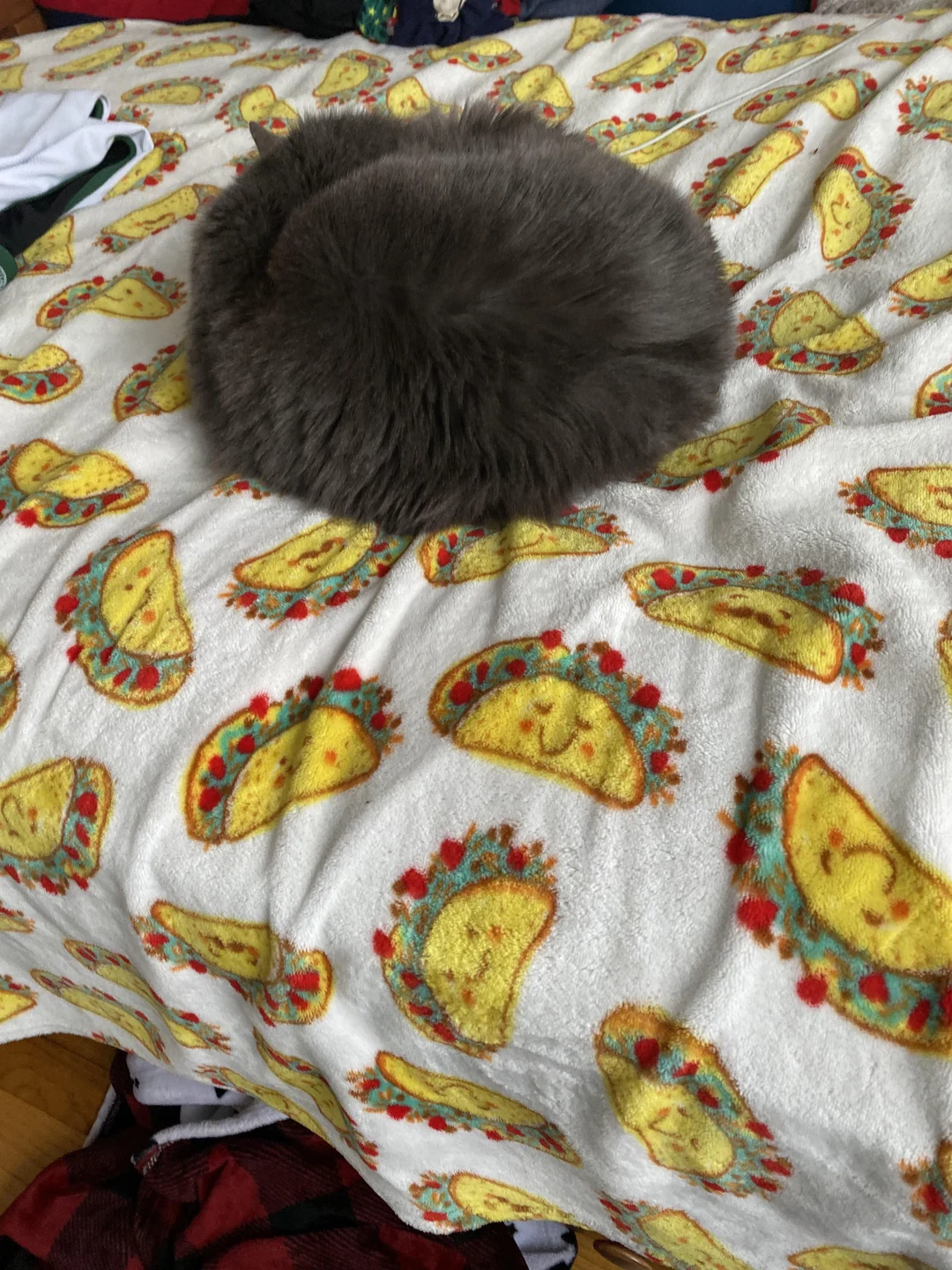 Perfect Circle | Scrolller