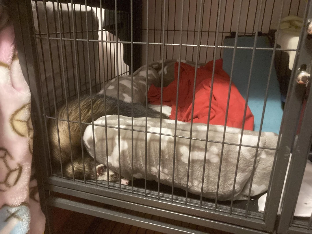 ...okay then | Scrolller