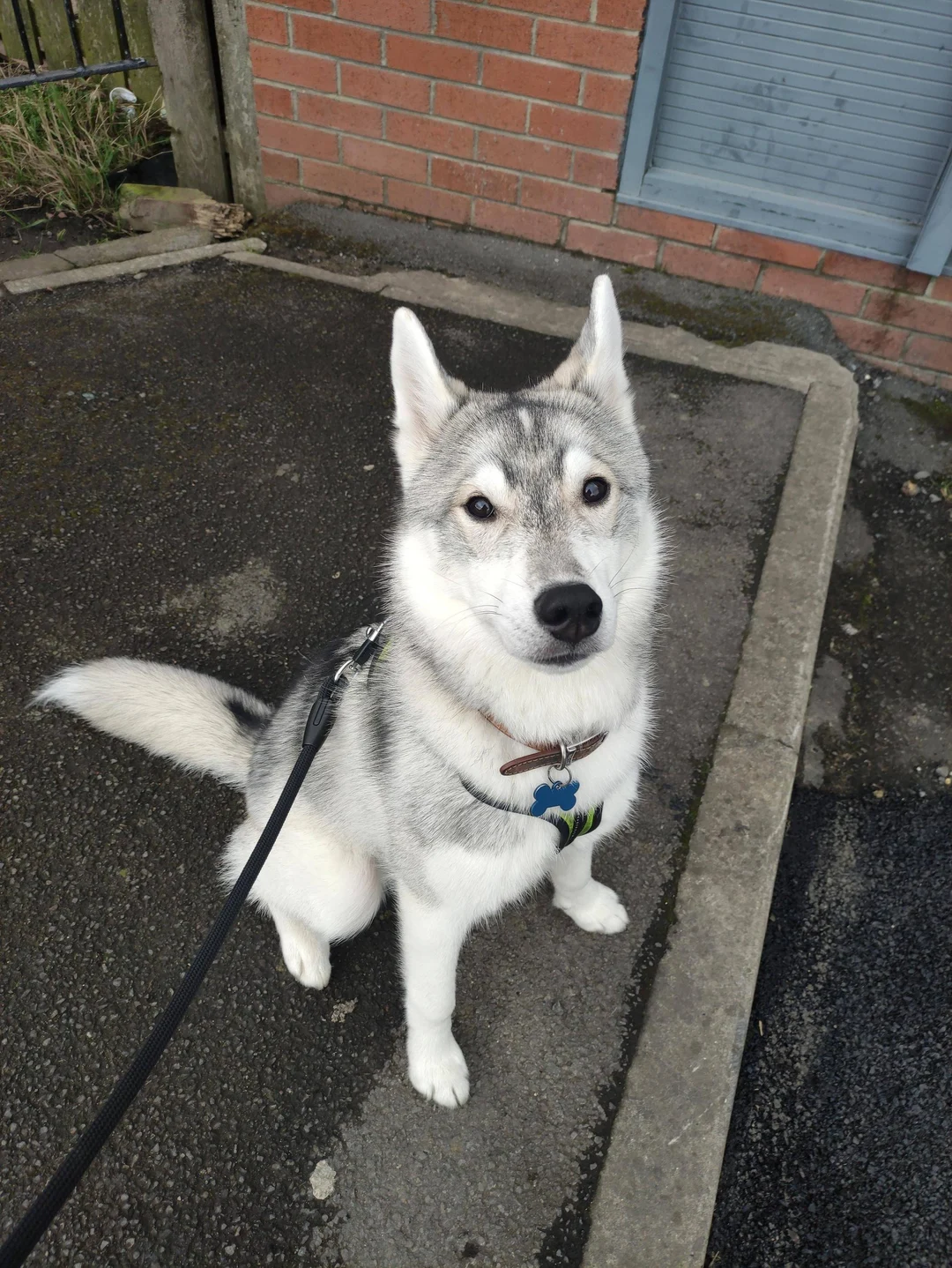 What a polite young man | Scrolller