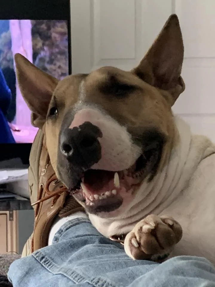 say cheese! | Scrolller