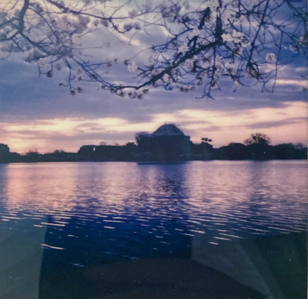 Washington DC | Scrolller