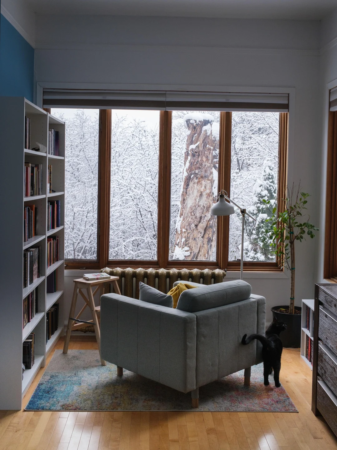 First snowfall made the reading nook extra cozy | Scrolller