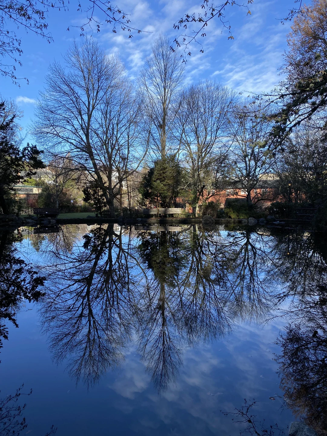 Ashland, Oregon | Scrolller