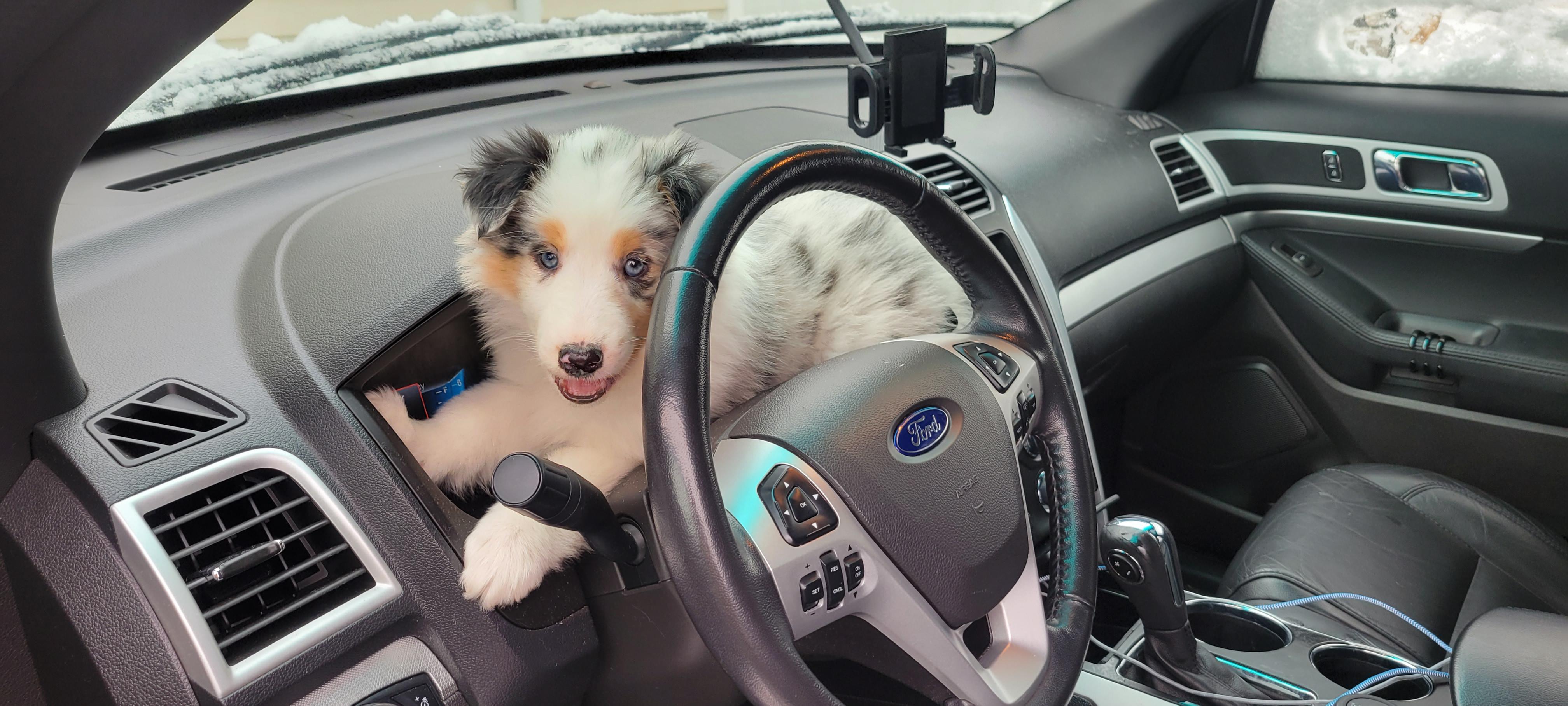 Ran Inside Real Quick | Scrolller