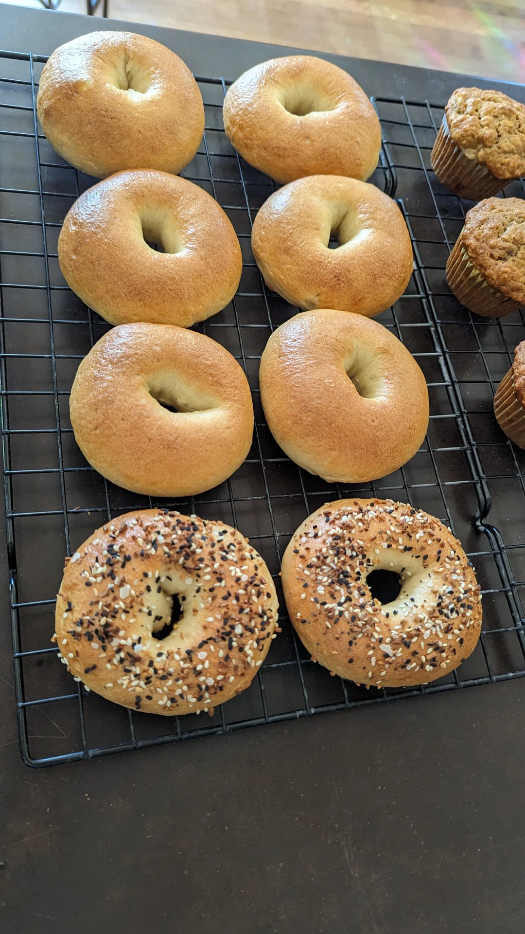 1st Attempt at Bagels! | Scrolller