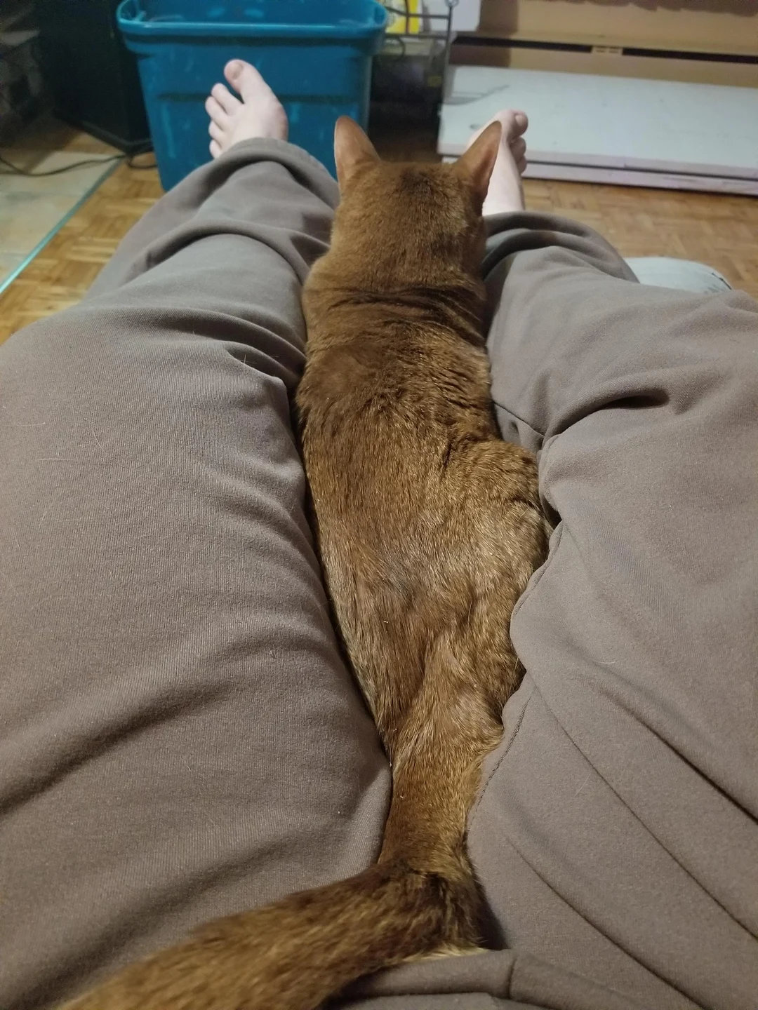 Discover more like TIGHTPUSSY: Getting all warm and comfy between his ...