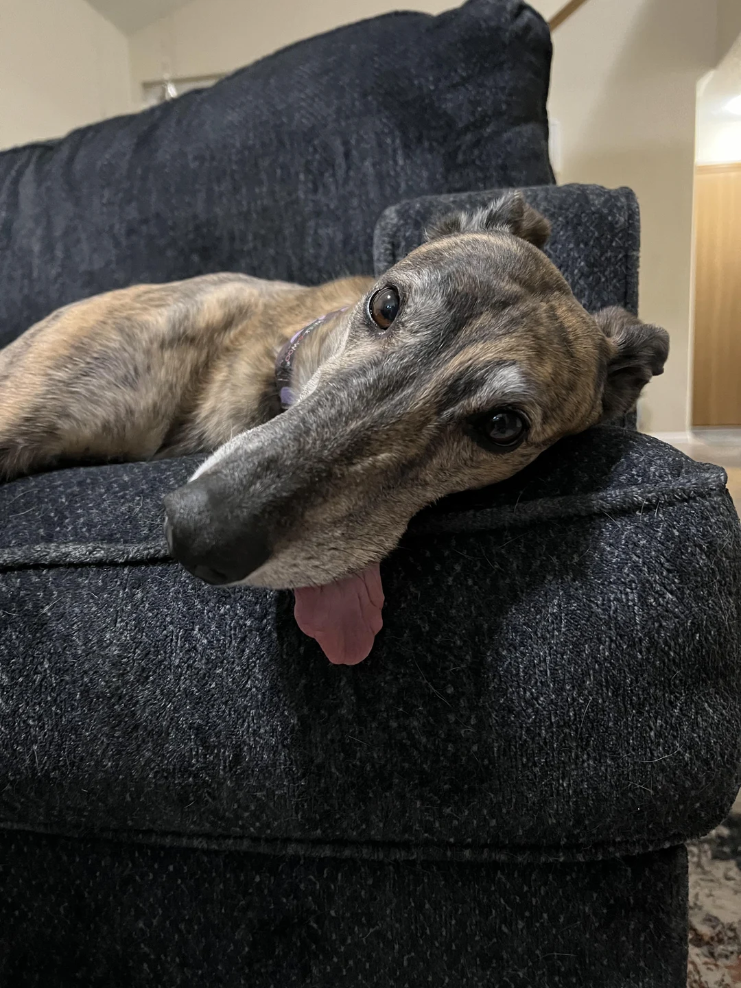 Tongues Out Every Day For Amiga Scrolller