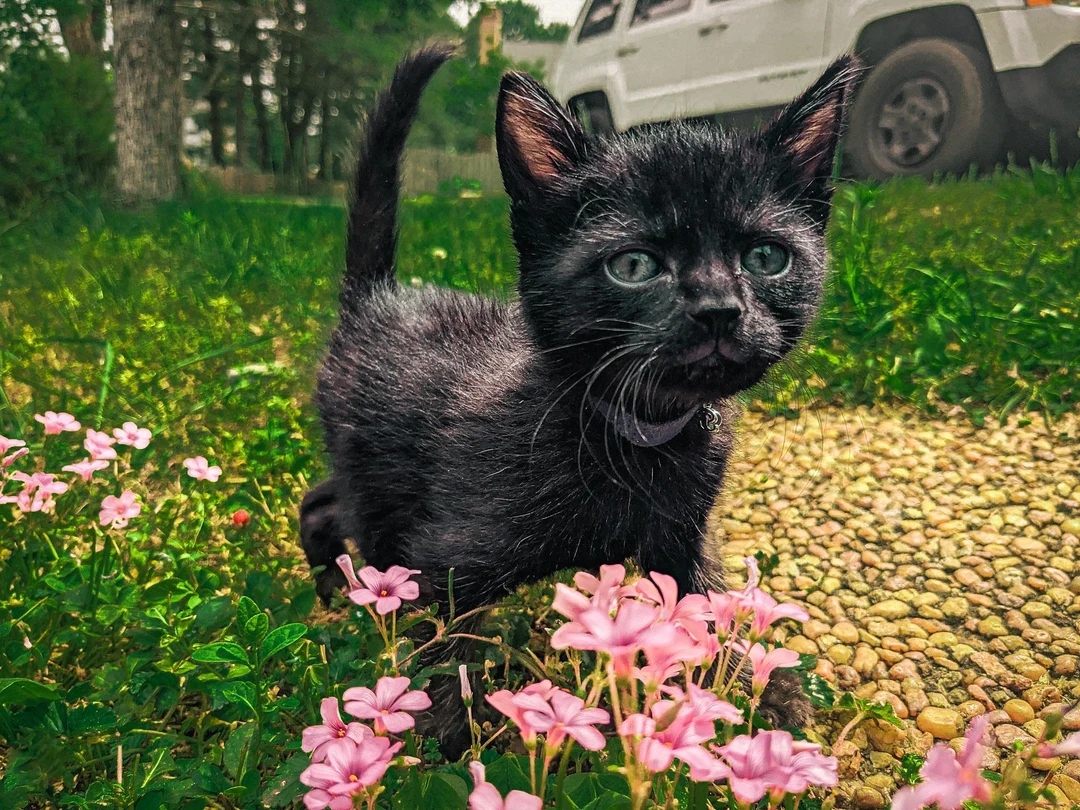 Up and smelling the flowers | Scrolller