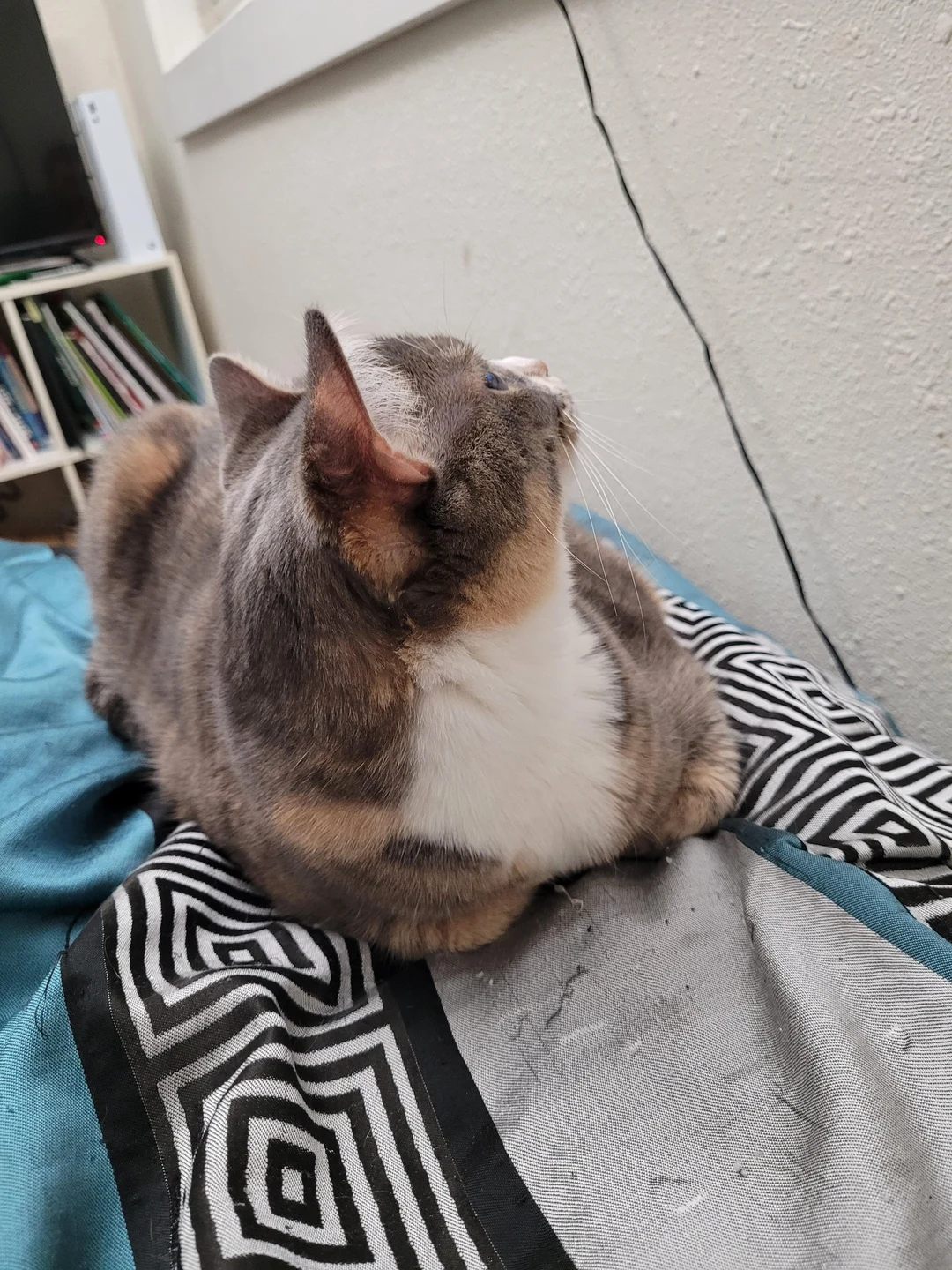 What's she looking at? Wrong answers only | Scrolller