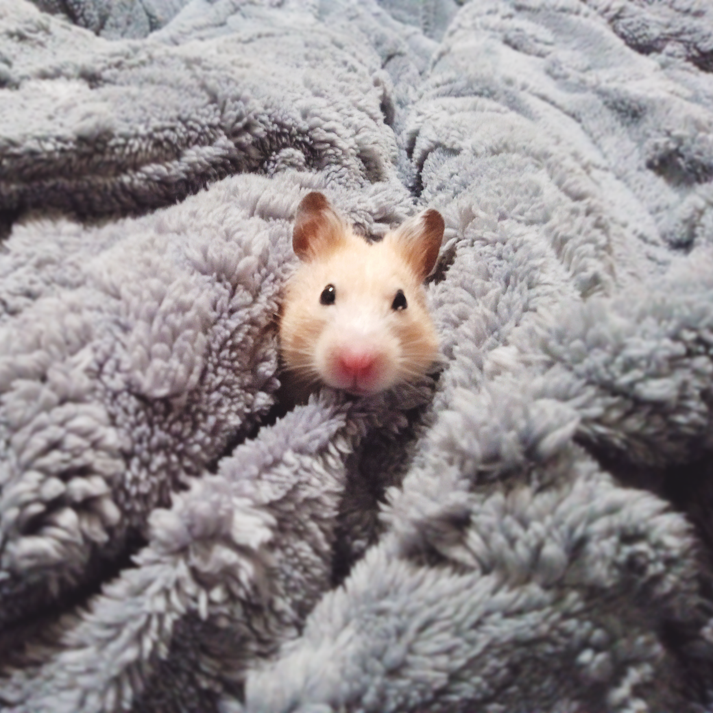 Mari Boo Berry | Scrolller