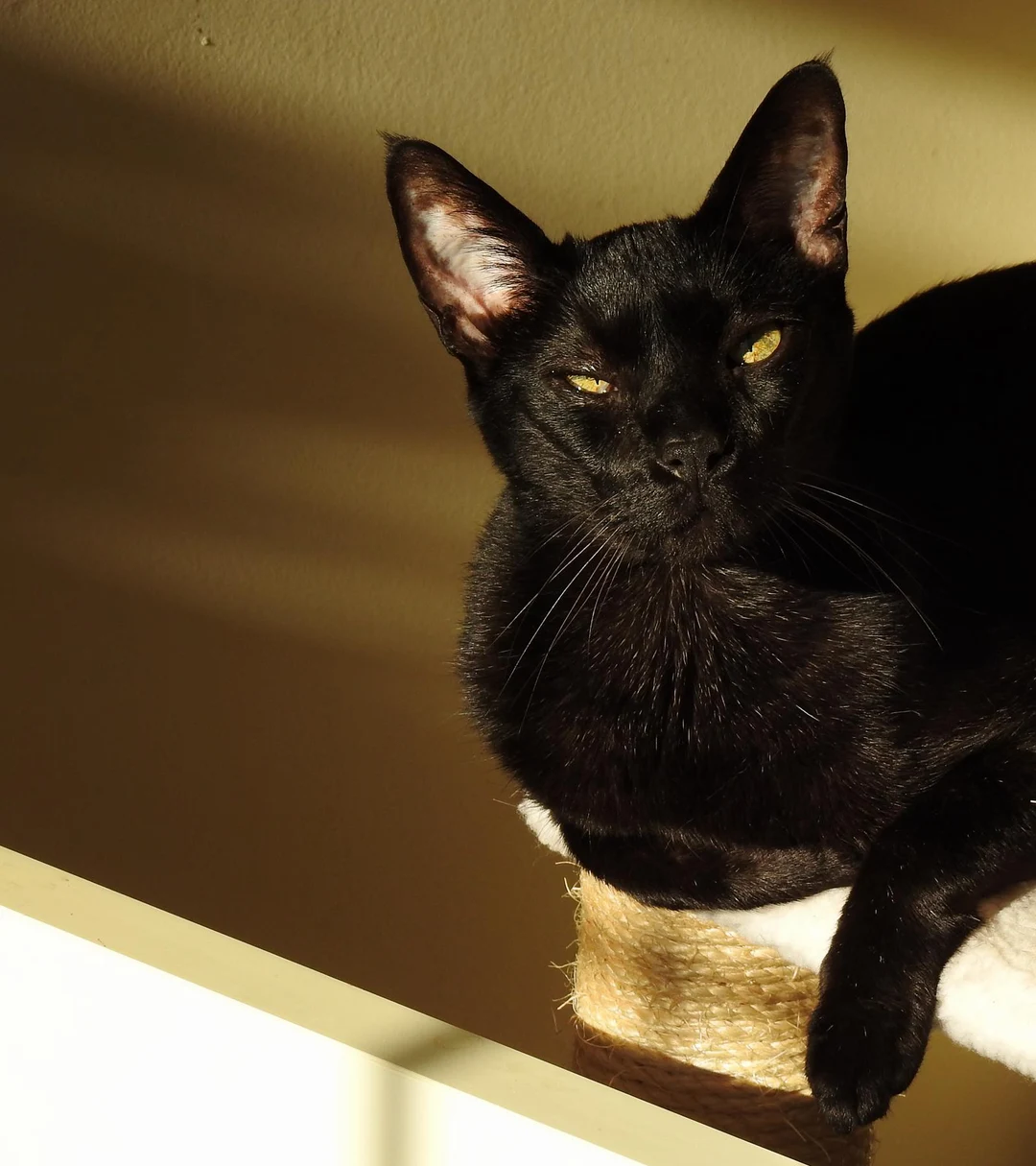 My beautiful Bonny | Scrolller