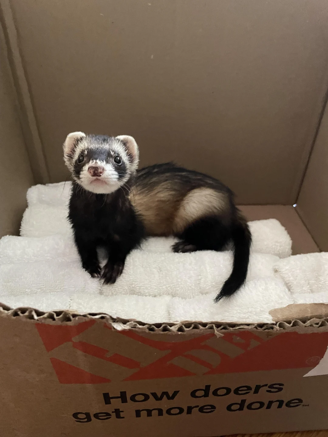 Treat Advice | Scrolller