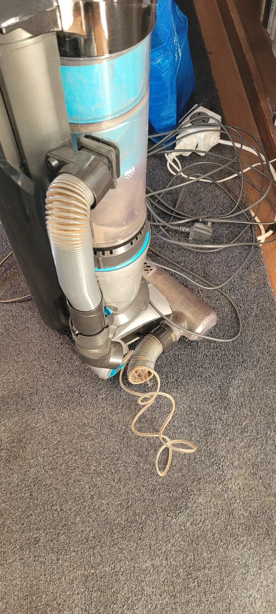 Dog 1, vacuum 0 | Scrolller