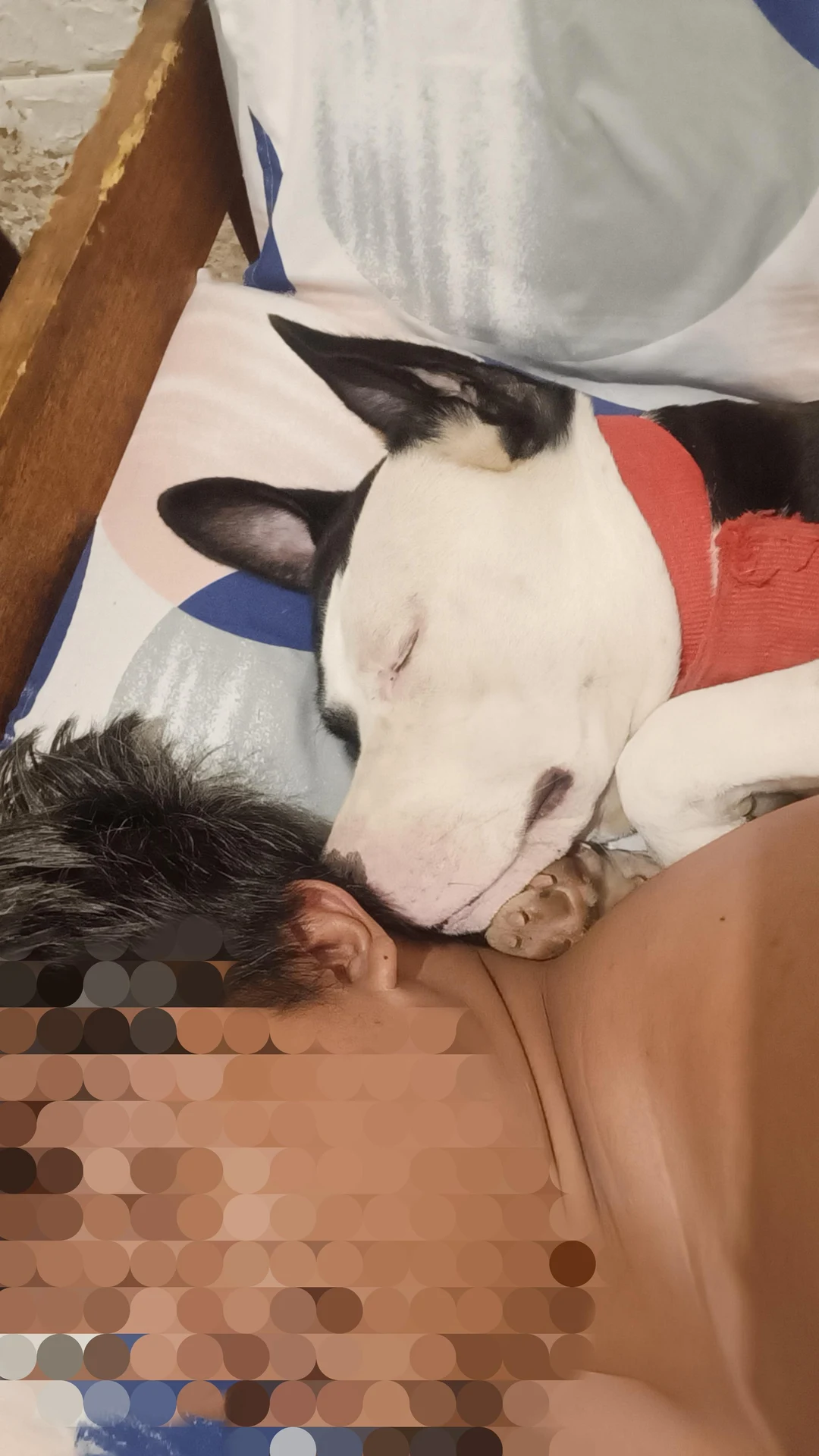 After a hard and tiring day, it's always refreshing cuddling with my ...