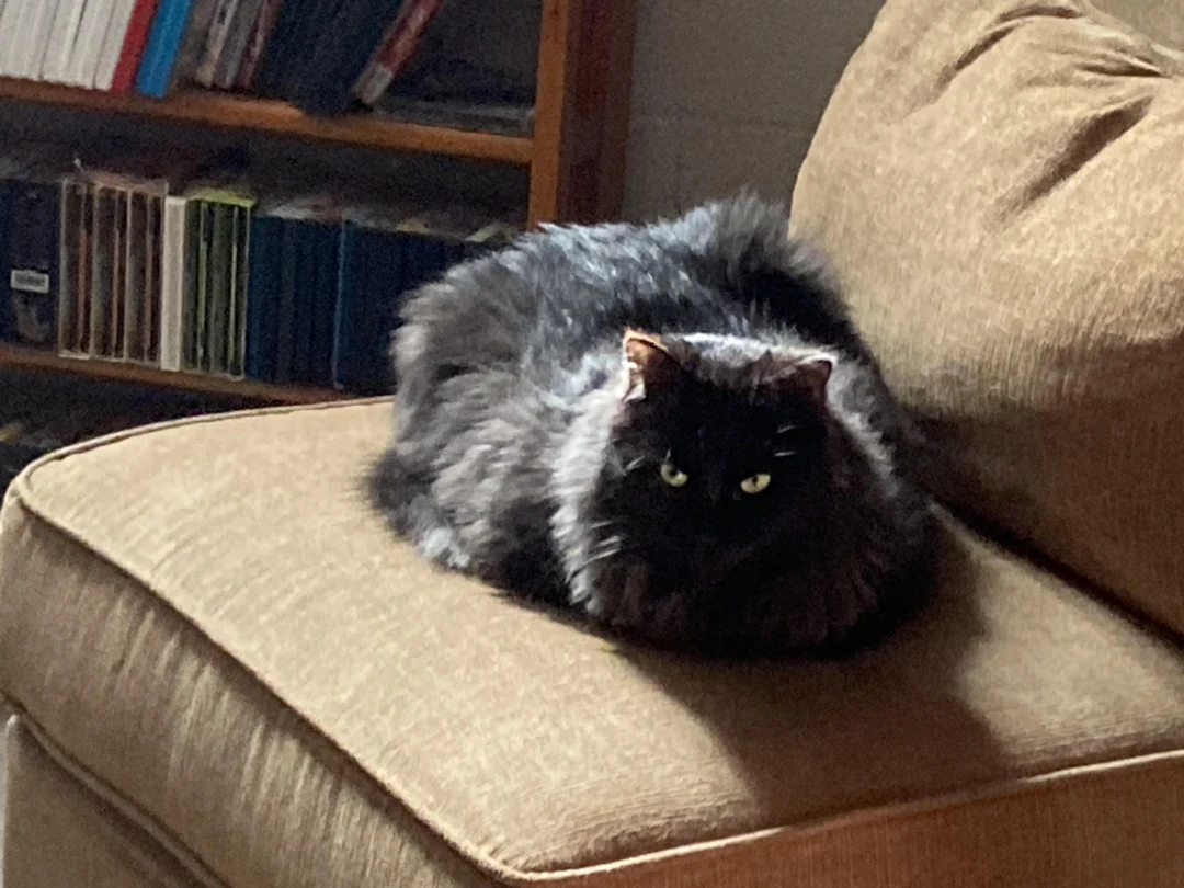 Me burnt loaf letting the sunshine in | Scrolller