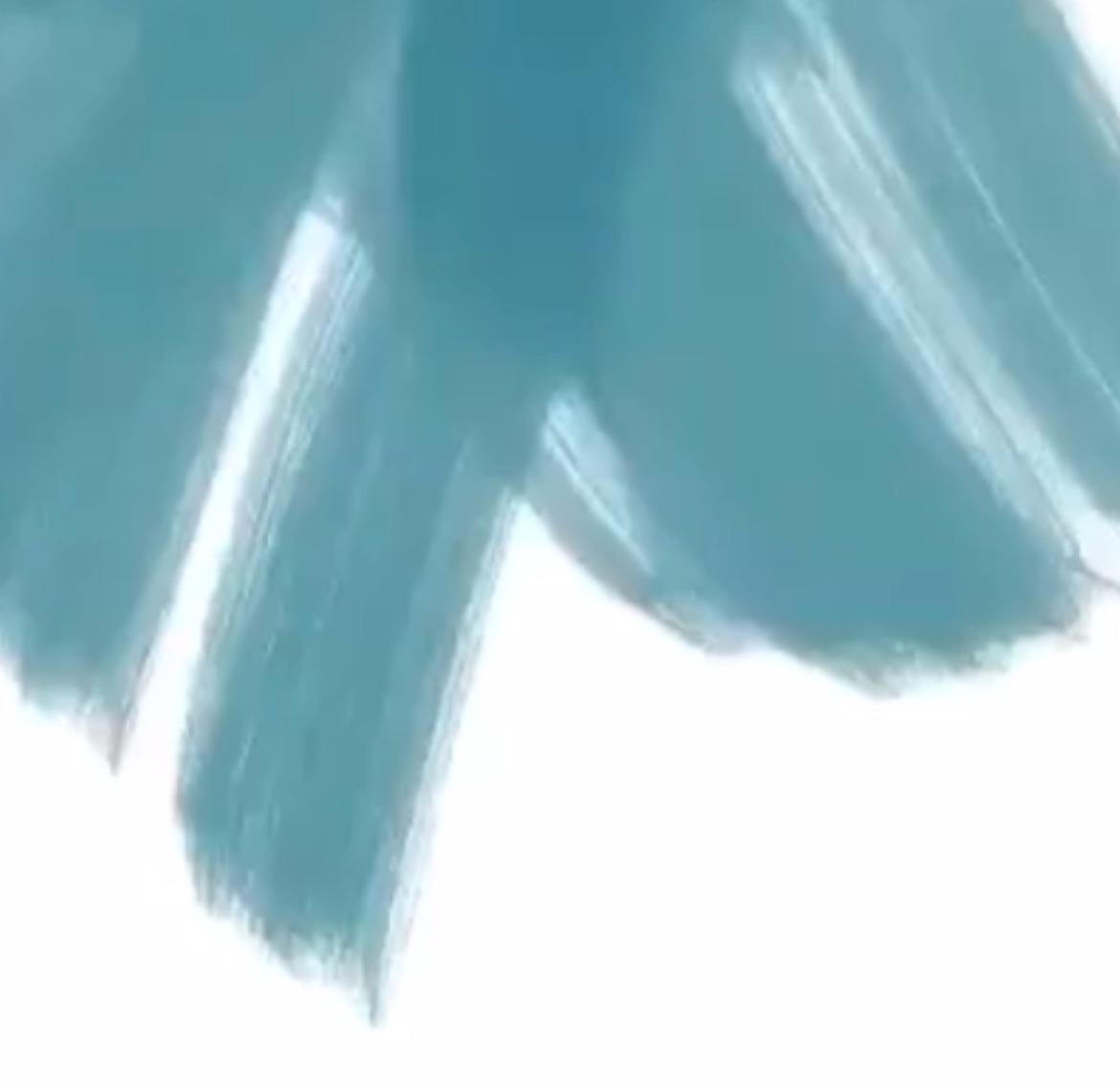 Brush recommendations | Scrolller