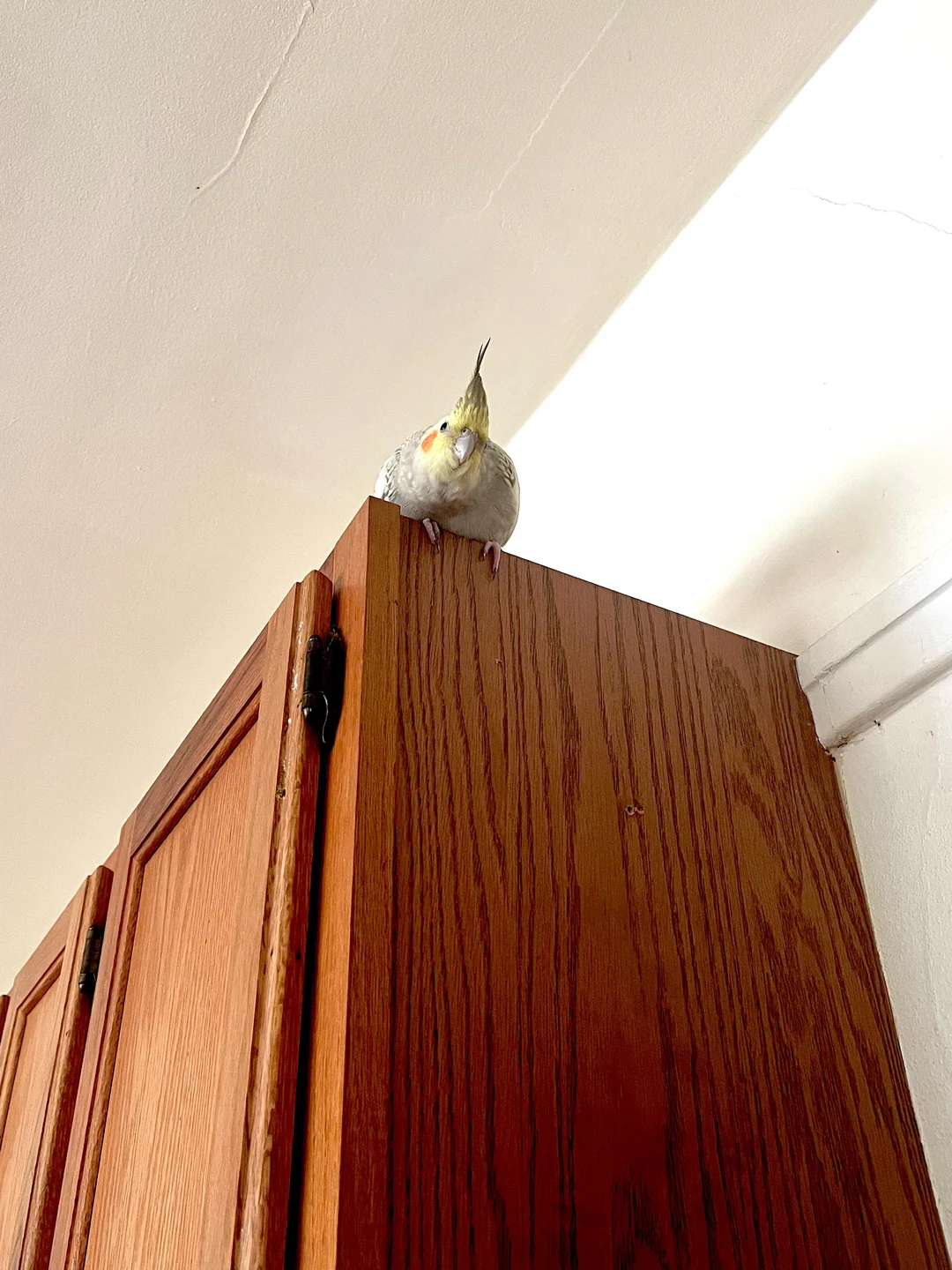 Whatcha doin’?? | Scrolller