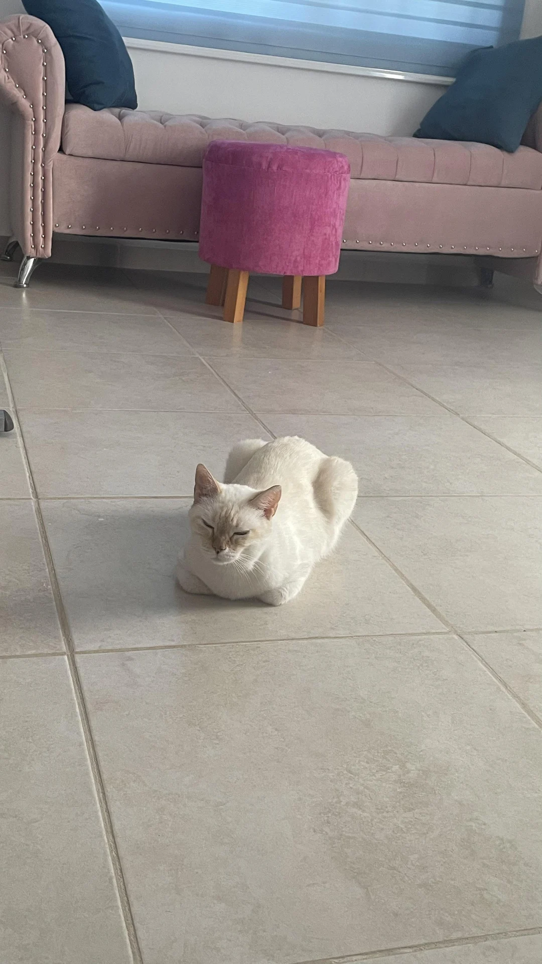 Loaf | Scrolller