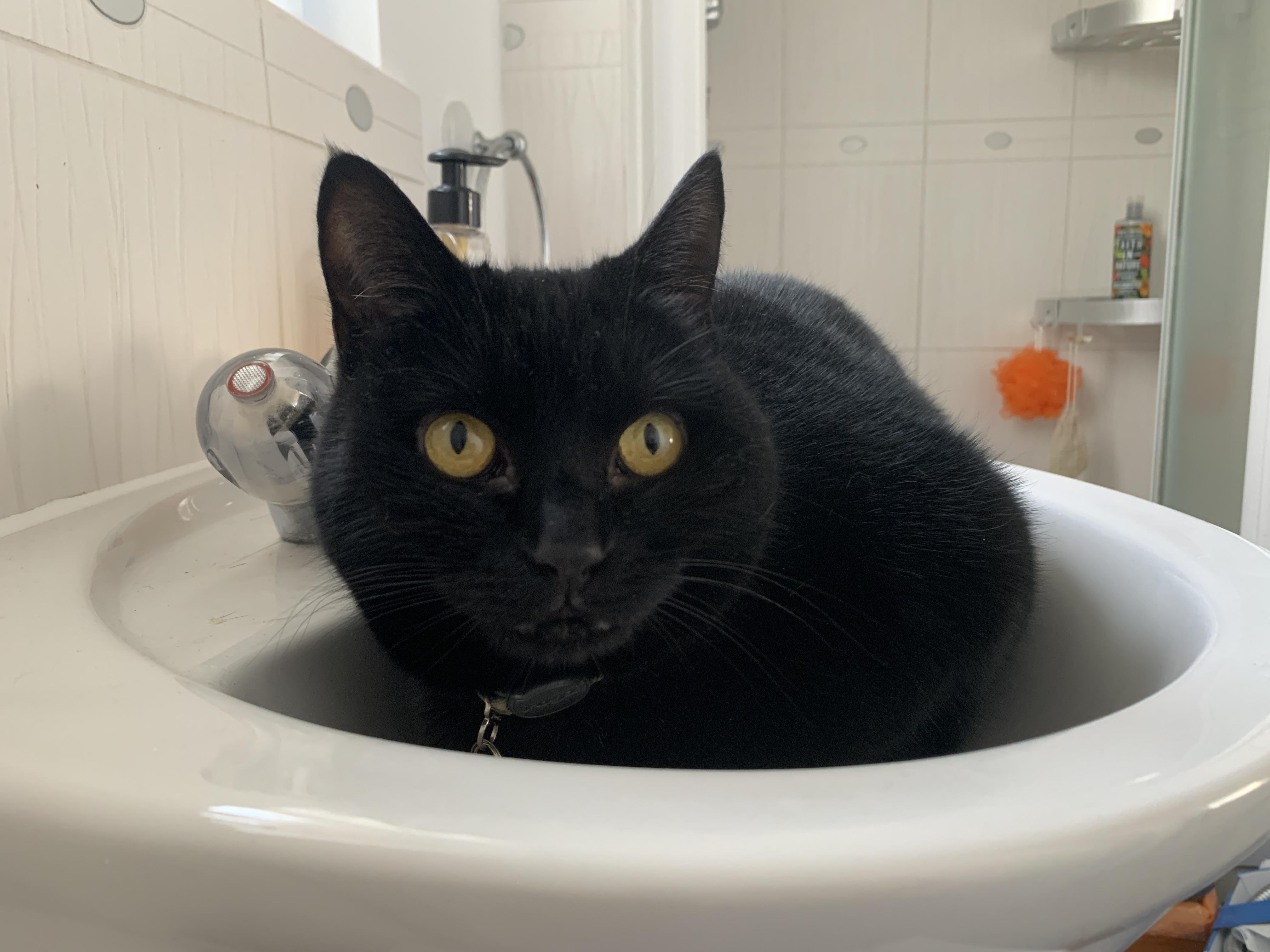 Sink void | Scrolller