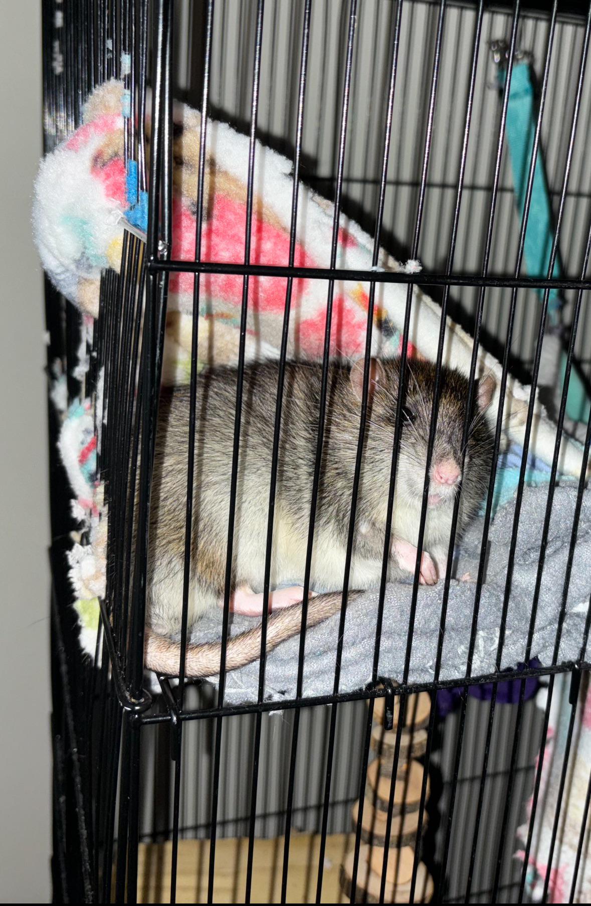 What’s he plotting | Scrolller