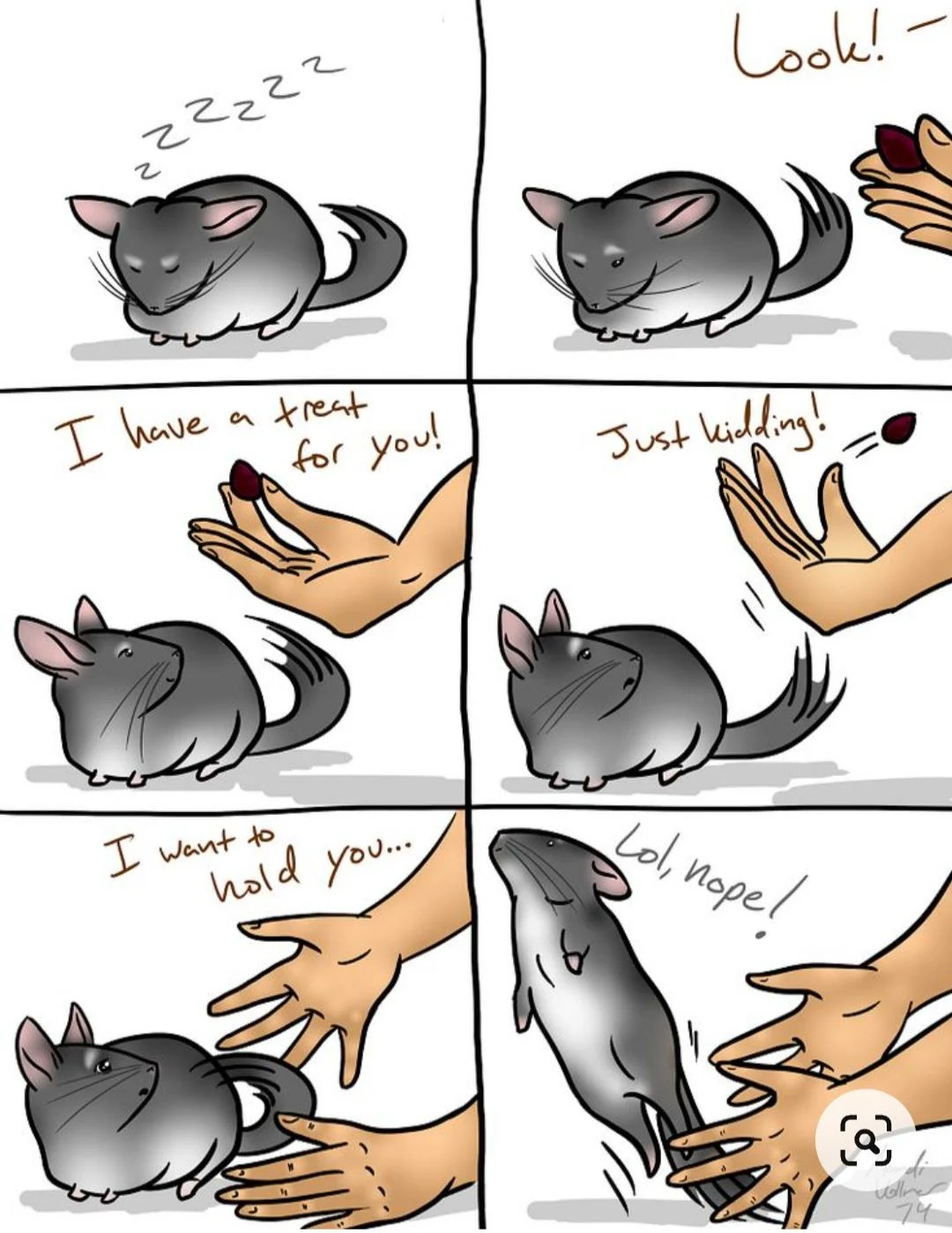 Nope! :3 | Scrolller