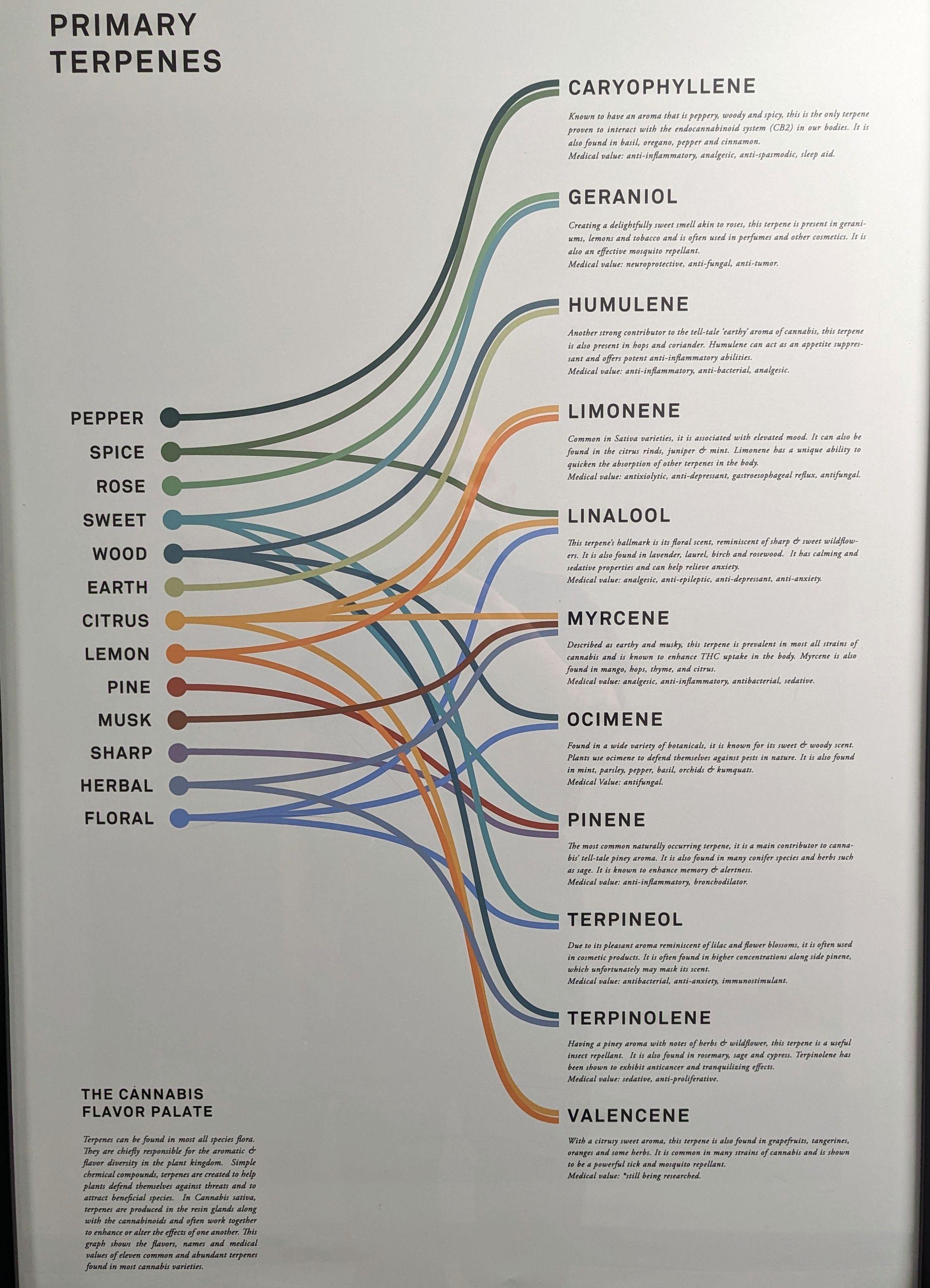 A helpful terp chart | Scrolller