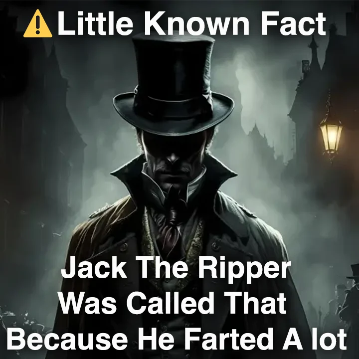 Knowledge bomb | Scrolller