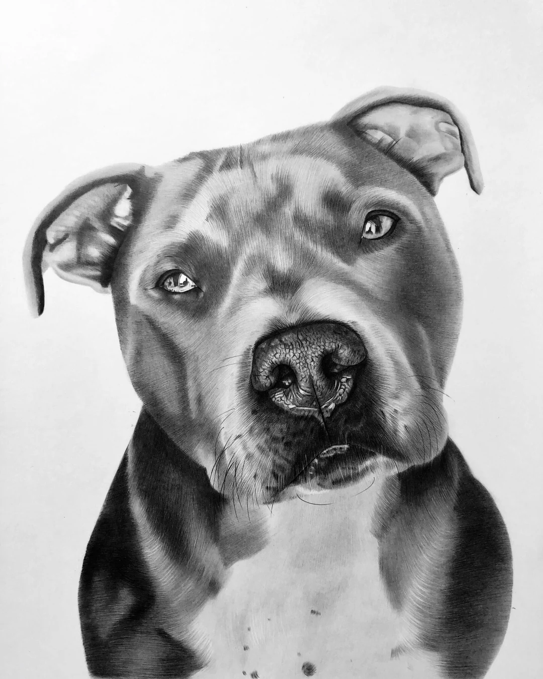 Recent commission job. Pencil portrait for my client | Scrolller