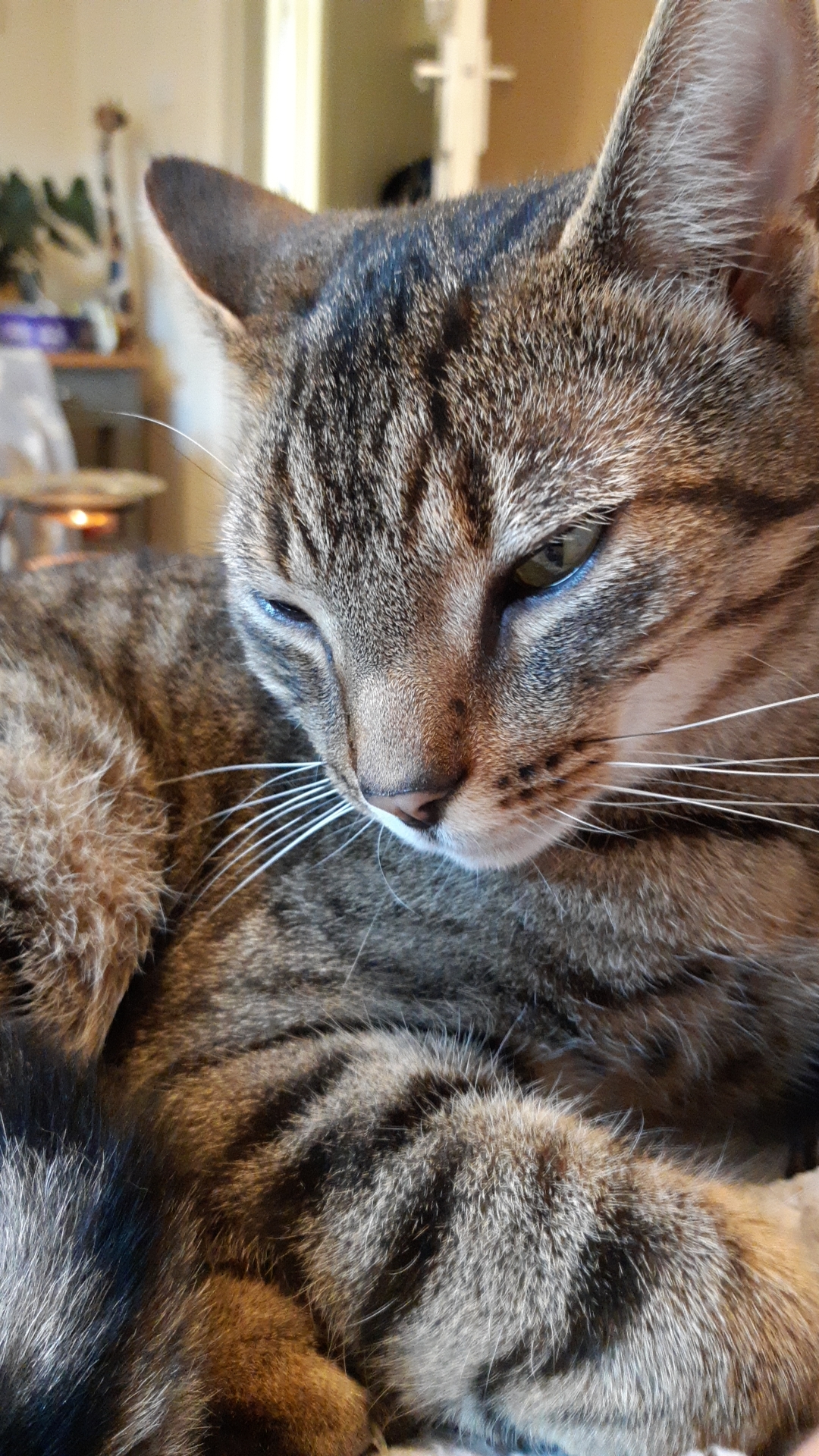 Snuggle time | Scrolller