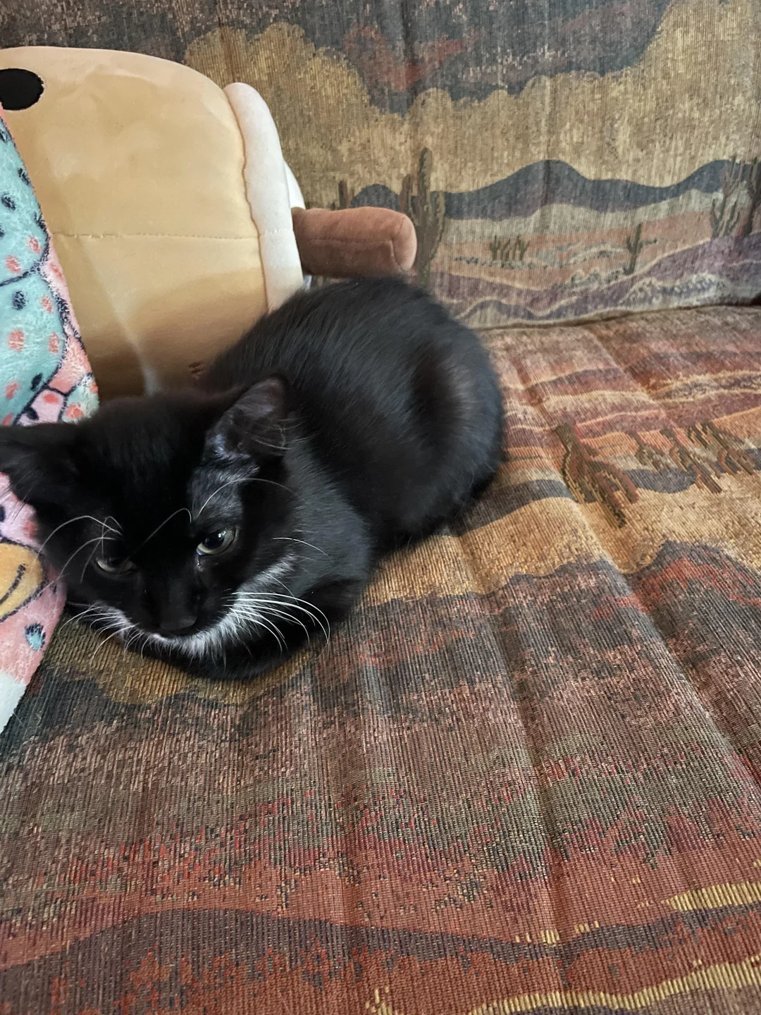 A wee burnt loaf | Scrolller