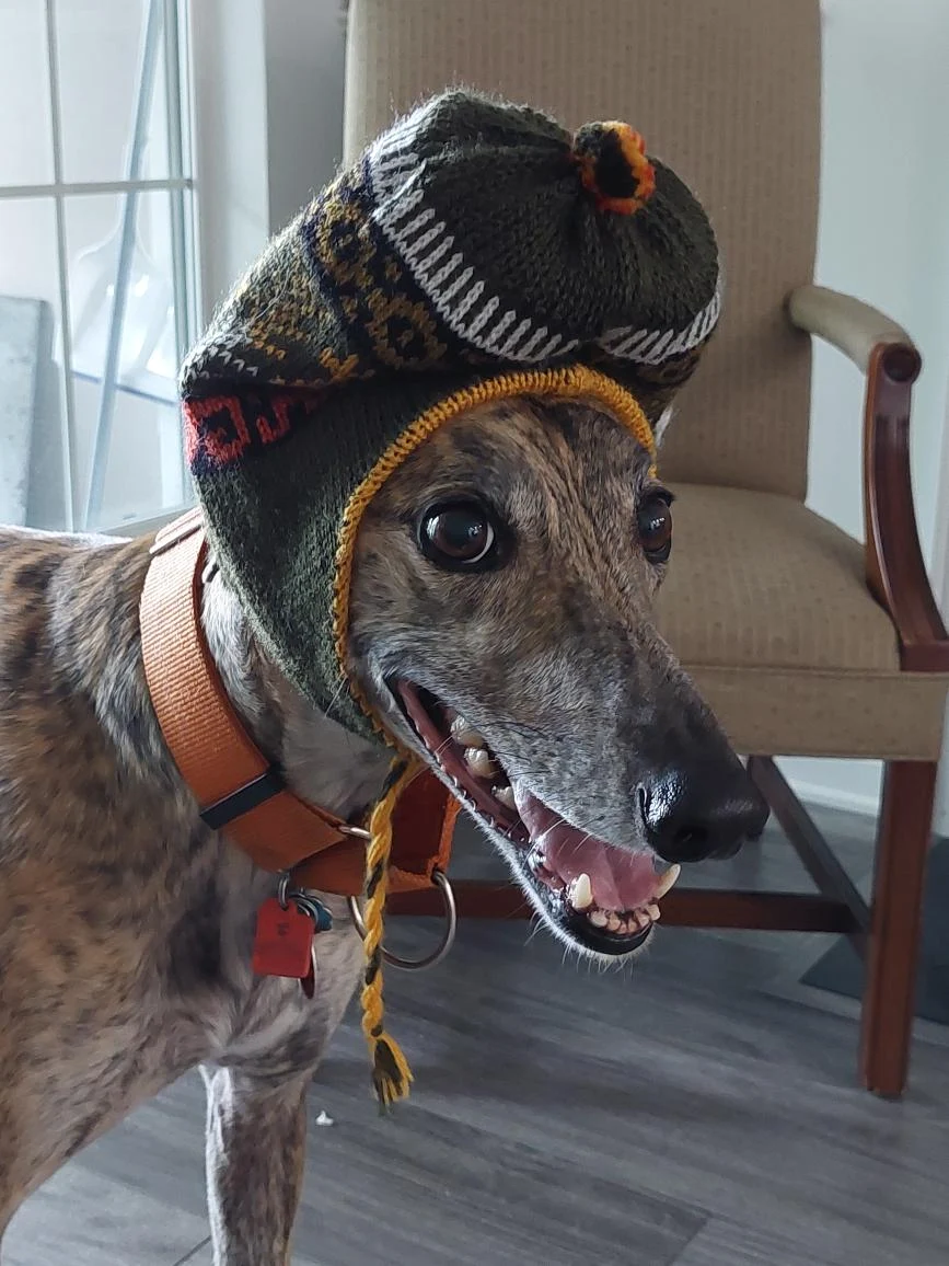 What to put in first aid kit? | Scrolller