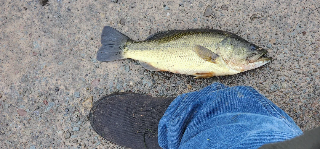 Rudely Interrupted Dinner | Scrolller