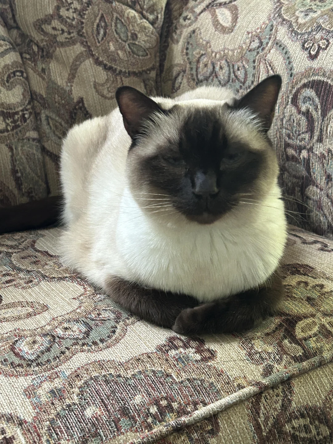 A (slightly charred) loaf | Scrolller