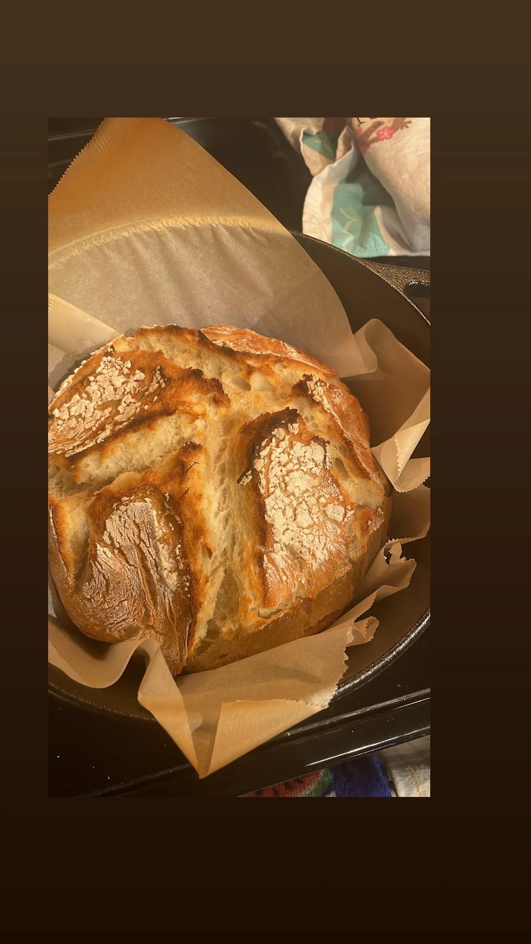 My favorite no knead dutch oven bread 😋 | Scrolller
