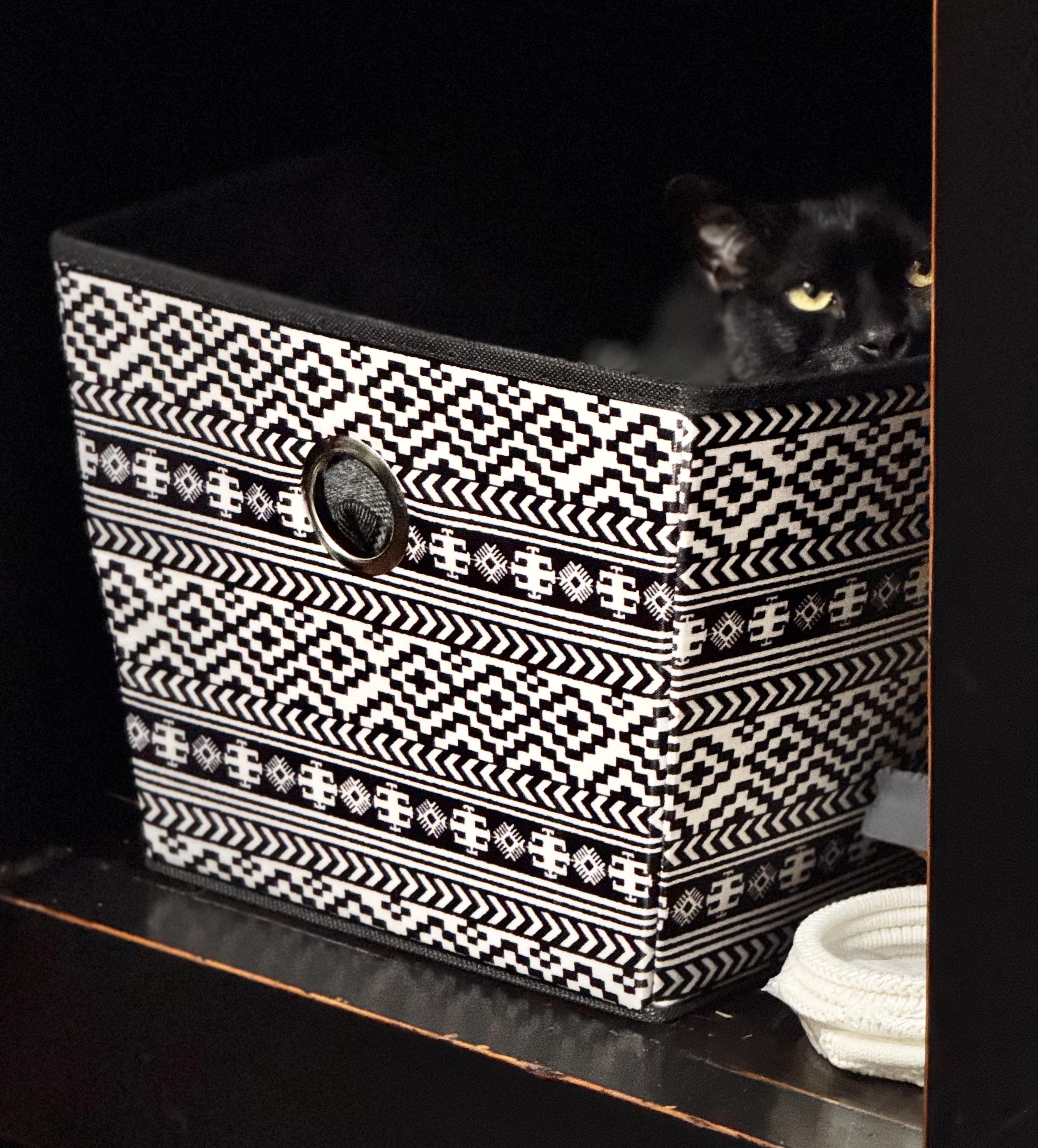 Cozy Ozzy Void | Scrolller