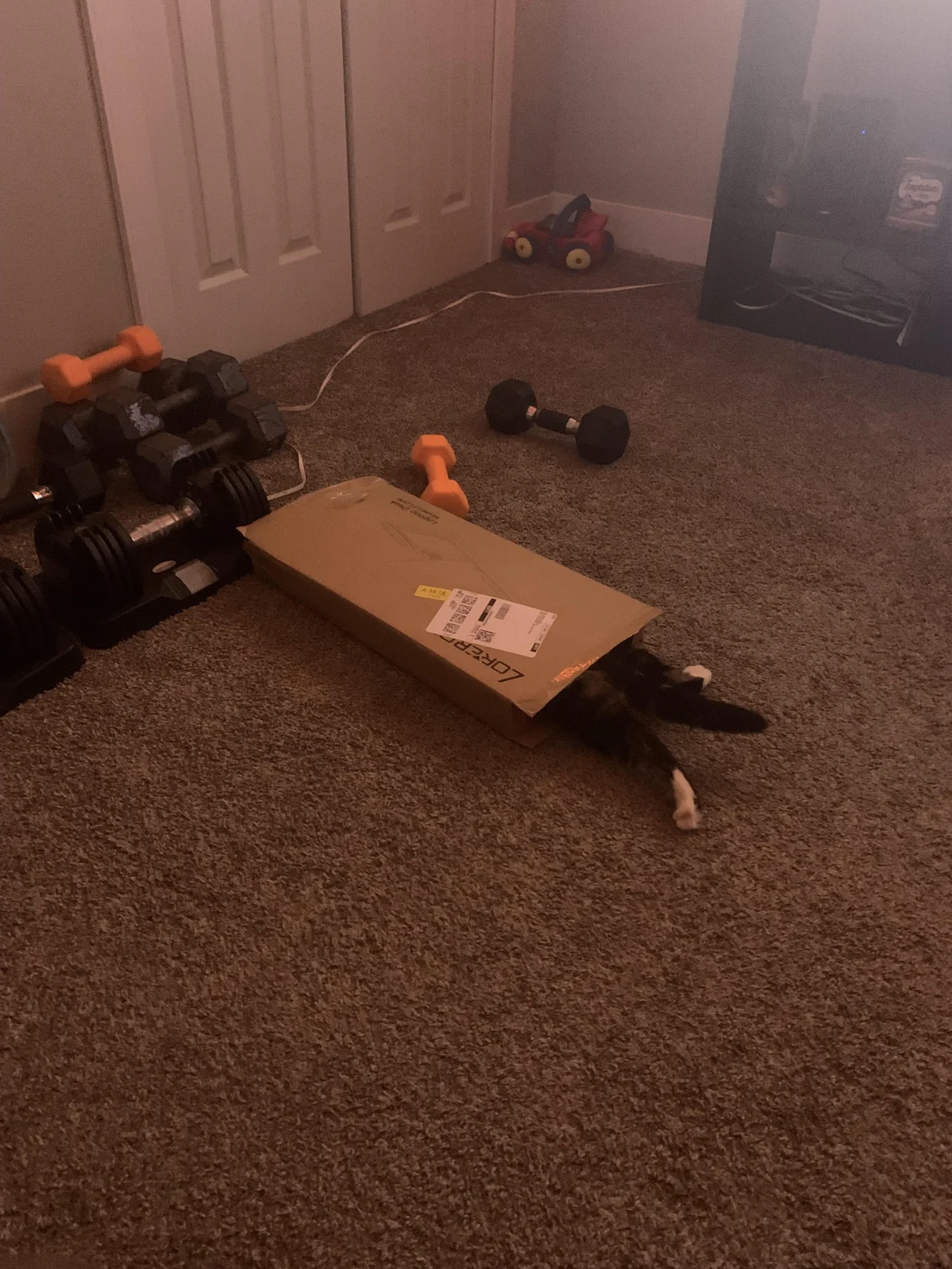 Game, set, match. | Scrolller