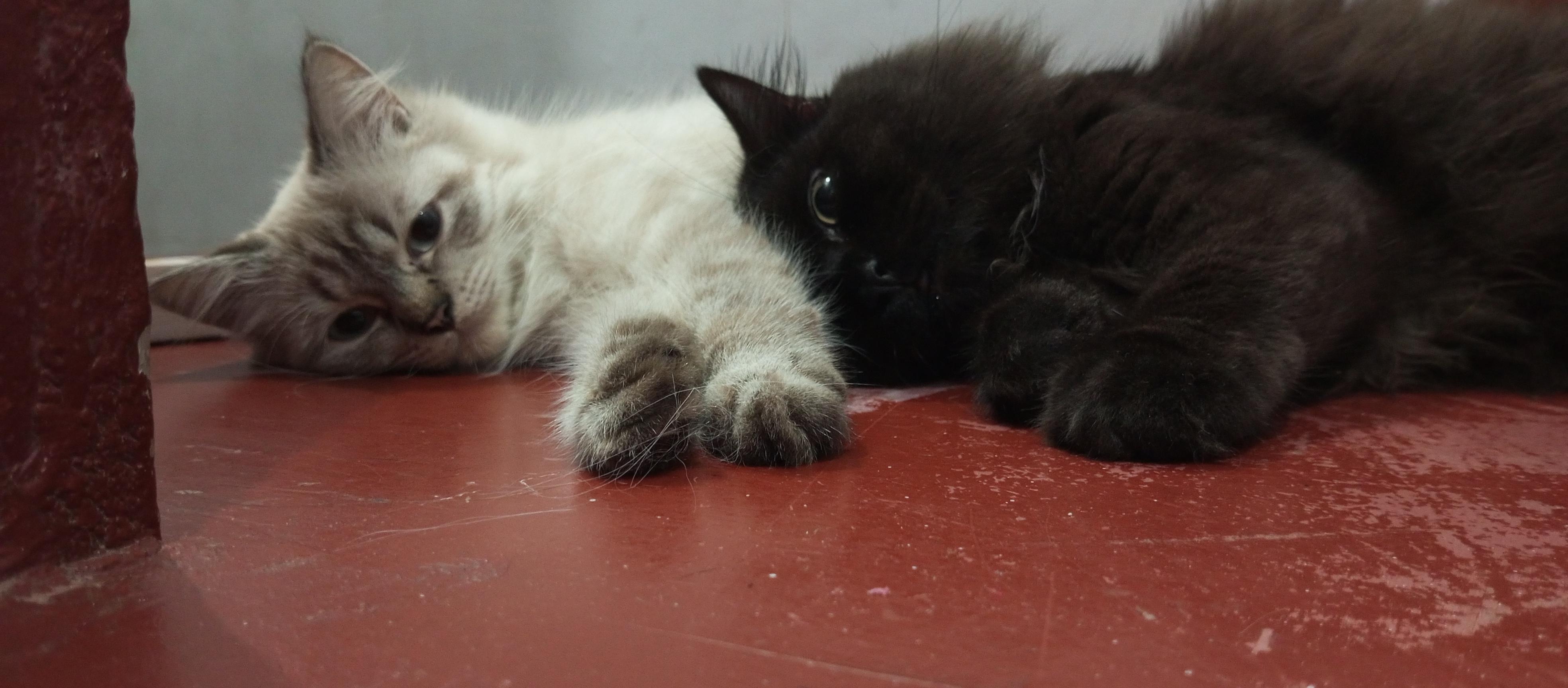 very cute couple | Scrolller