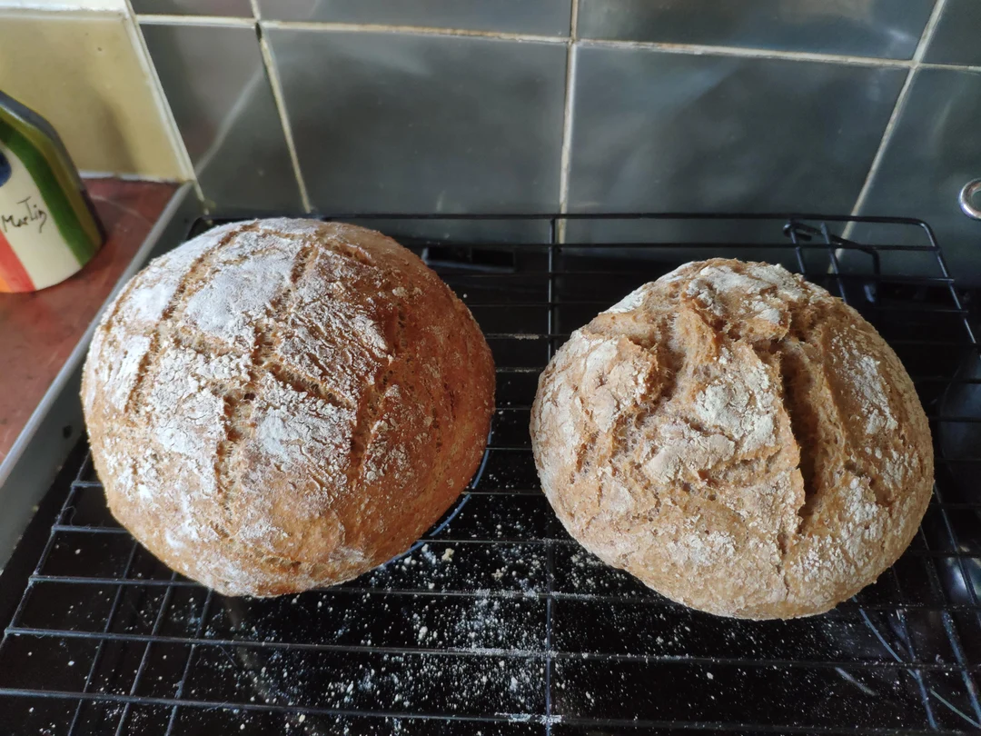 First loaves | Scrolller