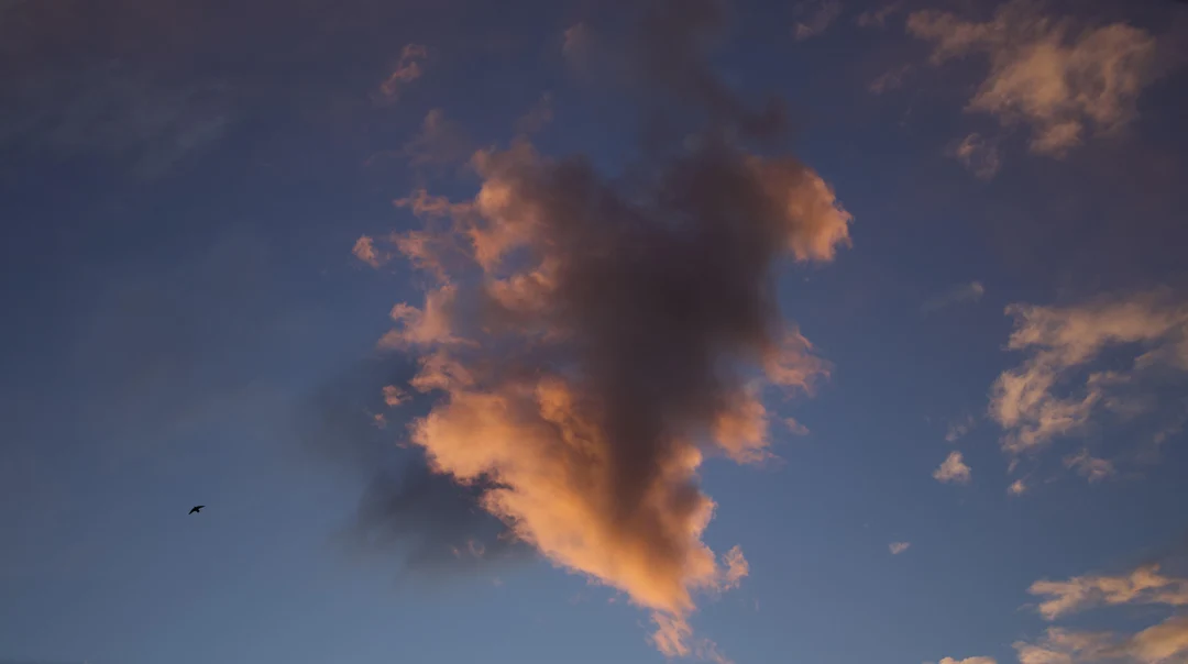 Solitary cloud and a bird | Scrolller