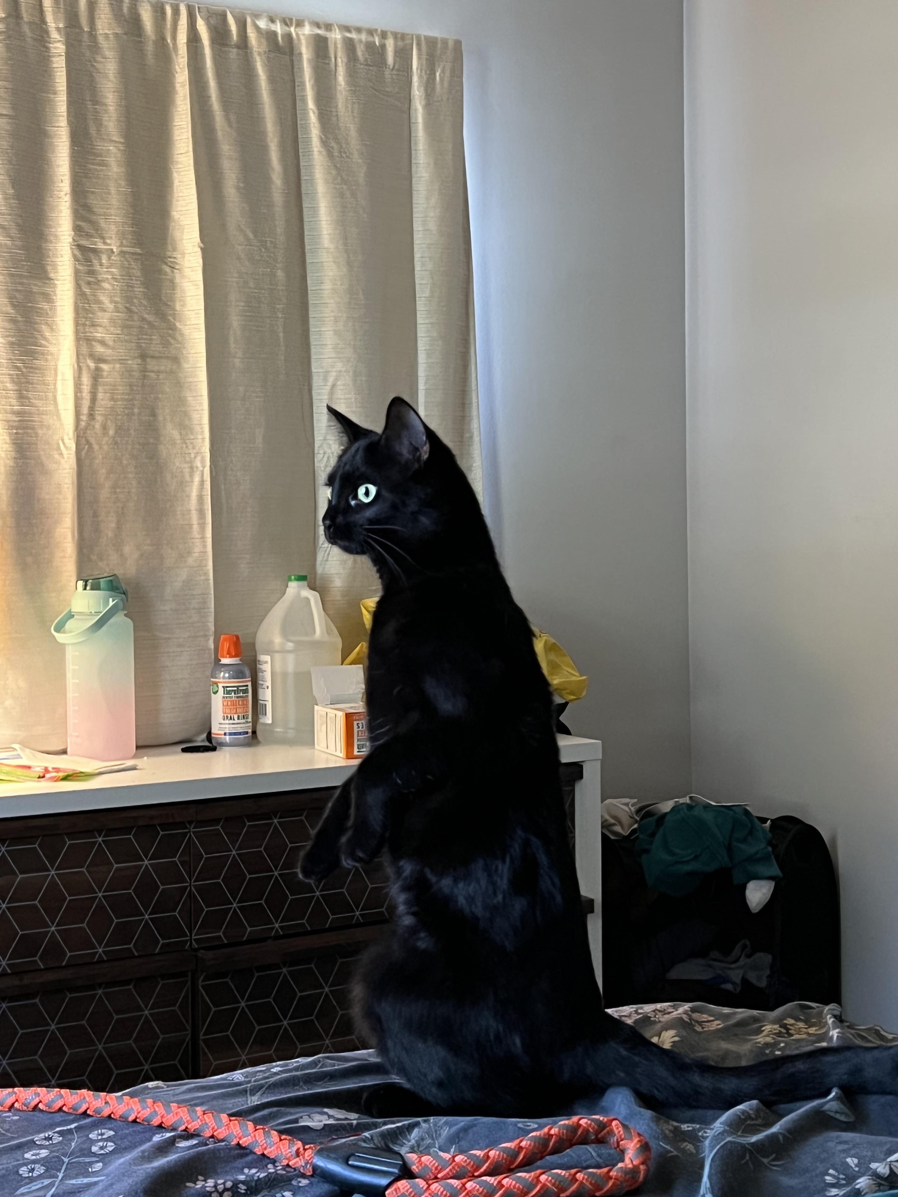 The Void is becoming sentient | Scrolller