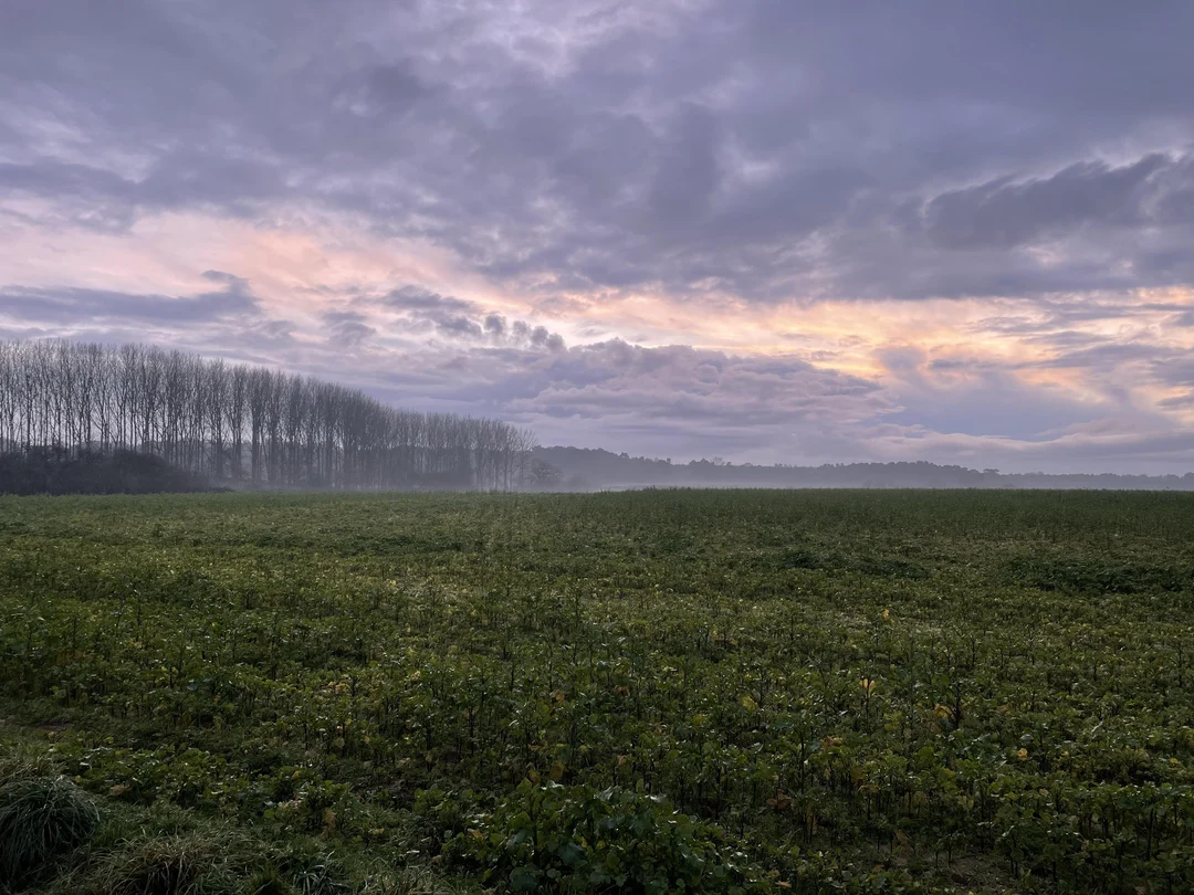 Winter sunset, Suffolk, UK | Scrolller