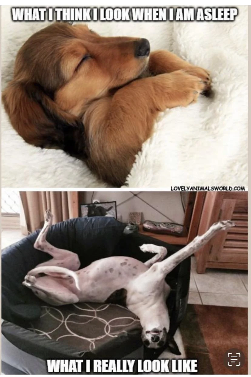 So glamorous! | Scrolller